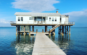 Robert Rauschenberg’s Captiva Legacy: The Artist’s Island Sanctuary Is ...